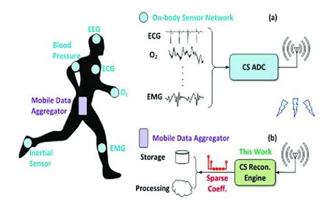 Compressed Sensing In Health Care 67 Download Scientific Diagram
