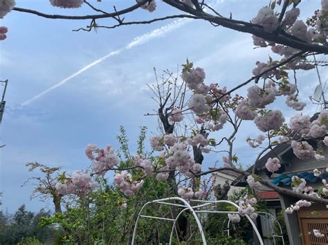 再掲 モモタ電気株式会社