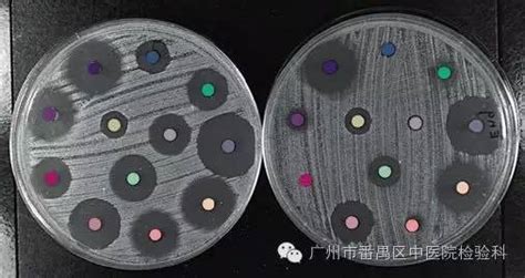 微课堂 北京出版社大中专教材中心