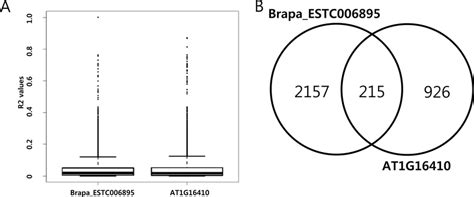 Distribution Of The Squared Pearson Correlation Coefficients Of All Of Download Scientific