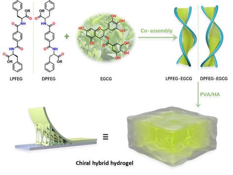 Supramolecular Polymer Co Assembled Multifunctional Chiral Hybrid Hydrogels With Adhesive Self