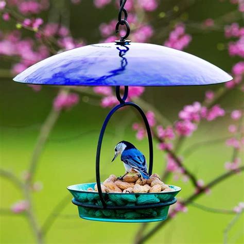 Poppy Feeder Artofit