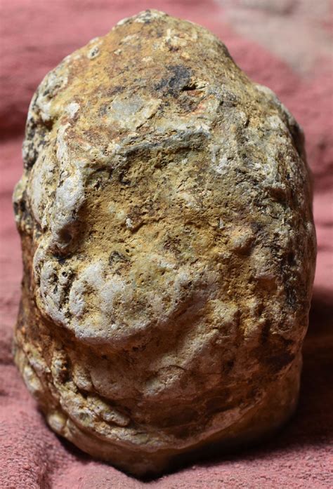 Fake Pseudo Fossil Fossil Id The Fossil Forum