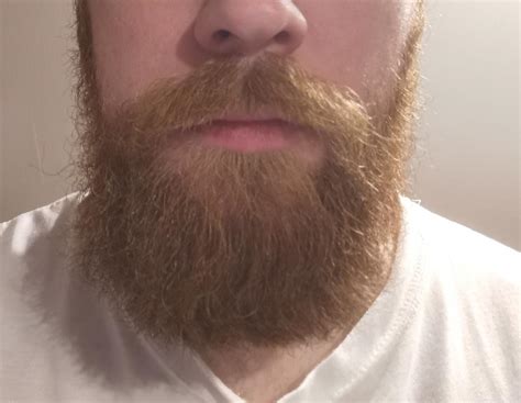 Beard Album On Imgur