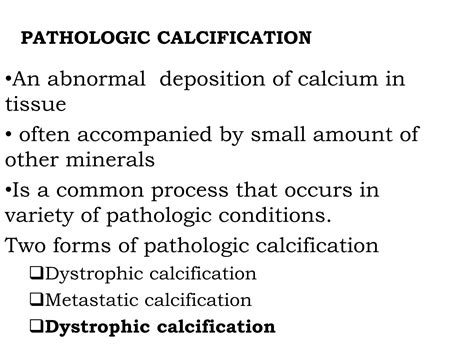 Solution Pathologic Calcification Full Lecture Slides Studypool