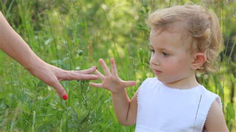 Girl Is Looking At A Ladybug That Is Sitting On Stock Video Video Of Holds Meadow 321250297