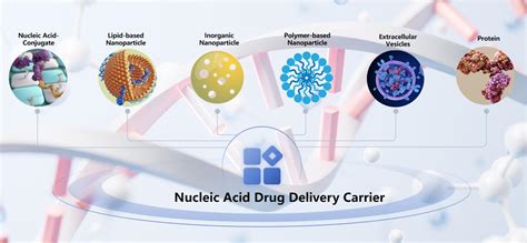 Nucleic Acid Drug Delivery Carriers Development Nucleic Acid Formulation Cd Formulation