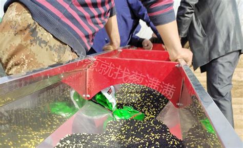 春季大葱移栽如何施底肥 知乎