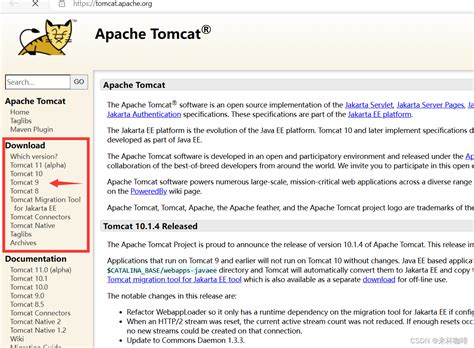 linux安装tomcat 保姆级教程 linux系统下载安装tomcat csdn博客