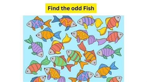 Odd One Out Can You Help The Colour Blind Martha Find The Odd Fish In