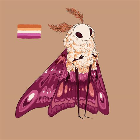 Cute Moth Drawing