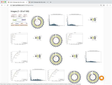 Quilt Data Your Data From Instrument To Scientist To Filing