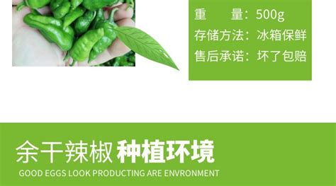 3斤江西辣椒 余干辣椒新鲜余干枫树土辣椒丰收薄皮1斤 阿里巴巴