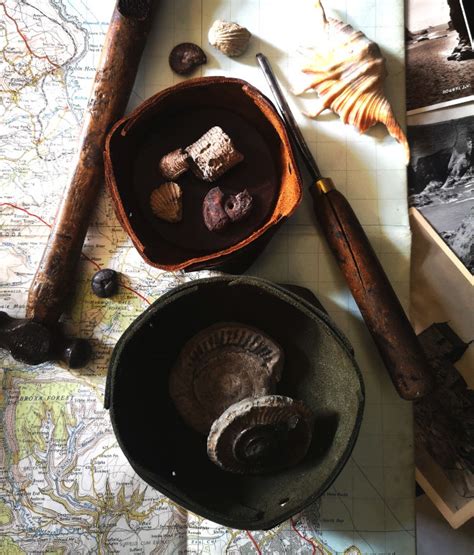 Spring Fossil Finding Ce Luxury Leather Goods