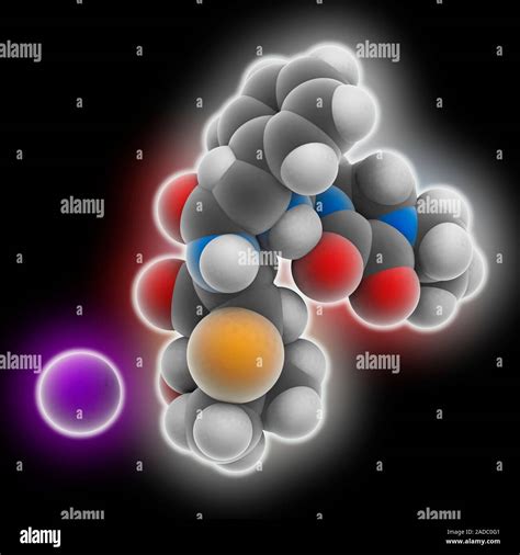 Piperacillin Sodium Molecular Model Of The Drug Piperacillin Sodium C23 H26 N5 Na O7 S This