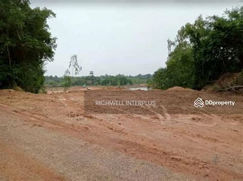 ขายที่ดินพนมสารคาม 10 ไร่ ถมแล้ว ใกล้แยกพนมสารคาม 4 กม หนองยาว ฉะเชิงเทรา หนองยาว