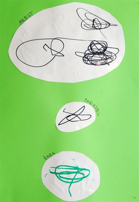 Razvoj žabe Antonov Vrtec