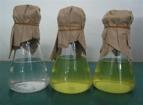 培养基的质量控制 知乎