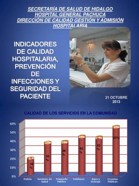 Sistema Indicas Pdf Enfermería Medicina