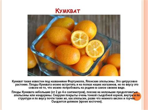 Кумкват - что это, полезные свойства, польза и противопоказания