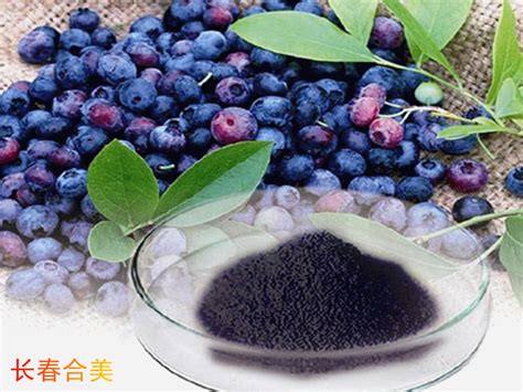 提取物 长春合美进出口有限公司