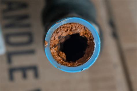 Improved Water Line Management In Swine Farms Pig Progress