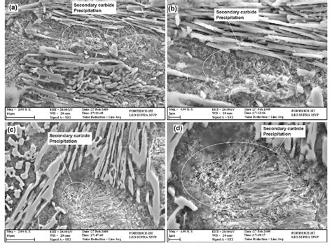 Microstructure Of The Alloy Treated At 750 °c Under Sem Examination