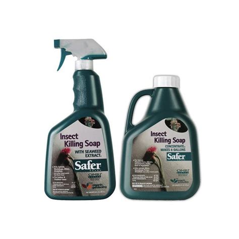 Safer Insect Killing Soap Ii Concentrate 16 Oz Direct From Growers