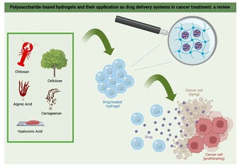 Polysaccharide Based Hydrogels And Their Application As Drug Delivery Systems In Cancer