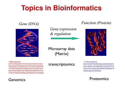 ppt introduction to bioinformatics powerpoint presentation free download id 9715816
