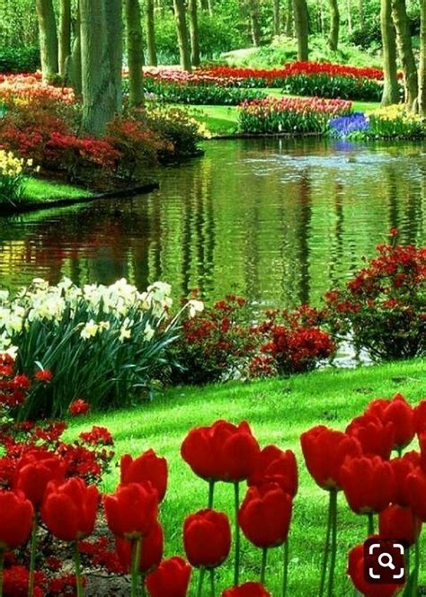 Fondos De Pantalla De Jardines De Flores
