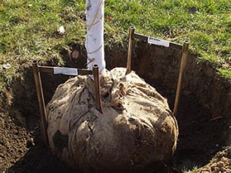 Landscape Architect And Specifier News Ladetails Product Search