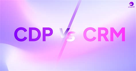 Where Is The Difference Between Crm And Cdp • Pangocdp