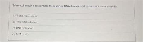 Solved Mismatch Repair Is Responsible For Repairing Dna
