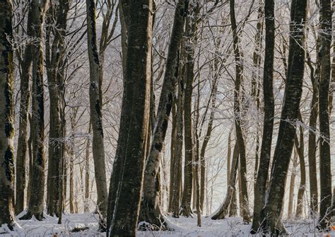 National Parks Of Georgia საქართველოს ეროვნული პარკები