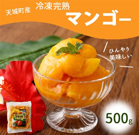 鹿児島県 徳之島 天城町産 冷凍 完熟 マンゴー 500g 冷凍マンゴー 鹿児島県天城町 Jre Mallふるさと納税