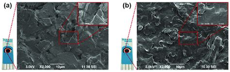 A Sem Image Of Bare Spce At 2000x Magnification Inset Showing The