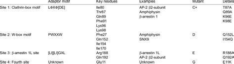 Interaction Sites On The N Terminal Domain Of Clathrin Heavy Chain
