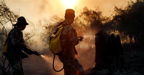 300 Mil Hectáreas De Bosque Afectadas Por Incendios Forestales En