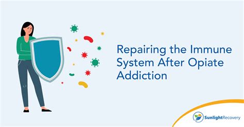 Repairing The Immune System After Opiate Addiction Sunlight Recovery Boca Raton Rehab