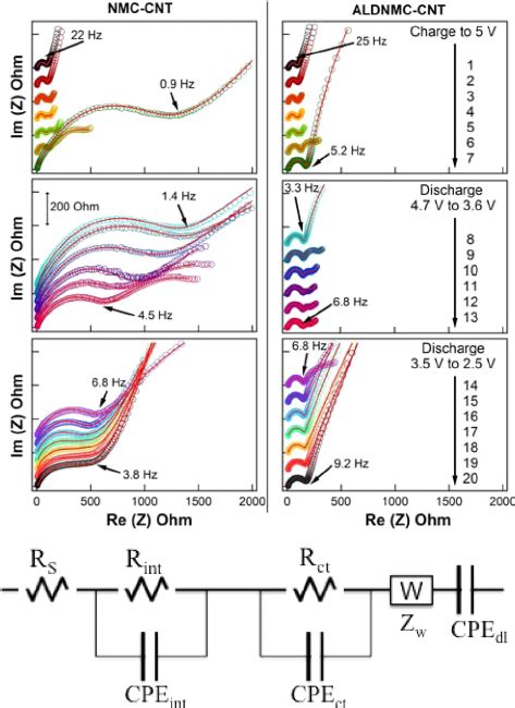 Nyquist Plots Open Circles And Fi Tting Curves Red Lines From The