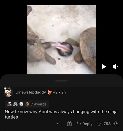 Cursed Turtle Sex Scrolller