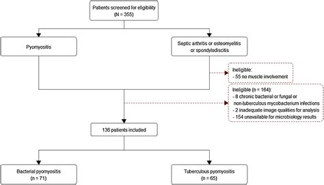 Discrimination Between Tuberculous And Bacterial Pyomyositis In Magnetic Resonance Features