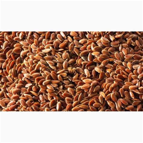 Продам лен — Agro Kazakhstan