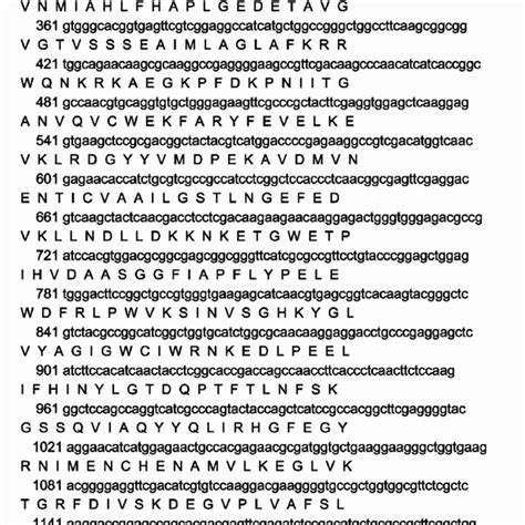 The Full Length Cdna Sequence And Deduced Amino Acid Sequence Of Osgad3