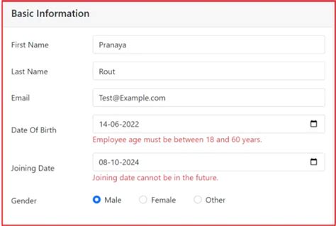 Custom Data Annotation In Aspnet Core Mvc Dot Net Tutorials