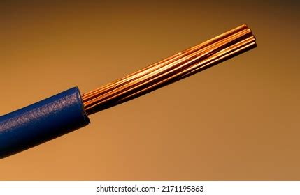 Naked Wire Images Stock Photos Vectors Shutterstock