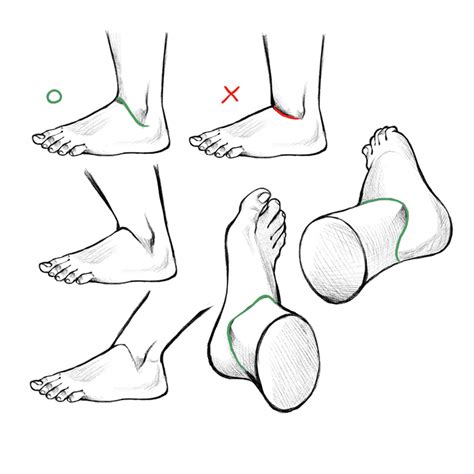 구조를 이해하면서 그린다 손과 발 그리기 강좌 그림 꿀팁사전