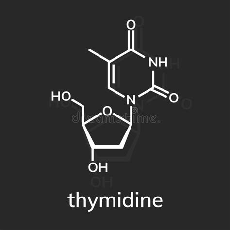 Thymidine Chemical Formula On Dark Background