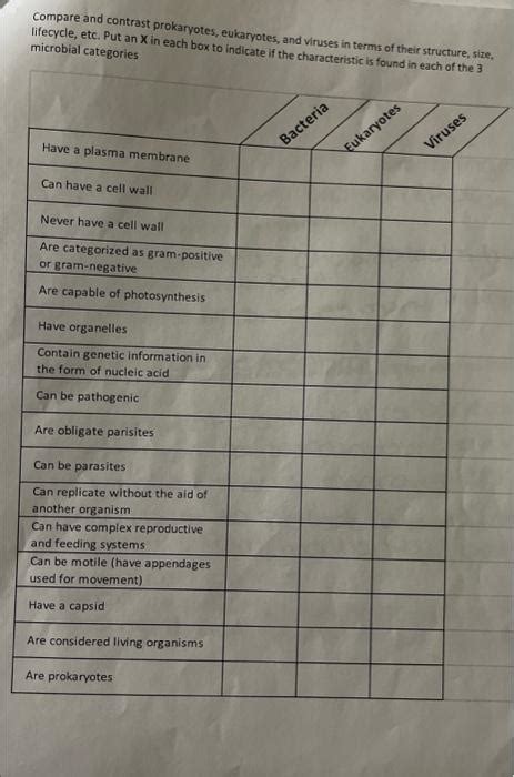 Solved Compare And Contrast Prokaryotes Eukaryotes And Chegg